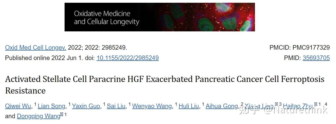 活化的星状细胞旁分泌HGF加剧胰腺癌细胞铁死亡抵抗力 - 知乎