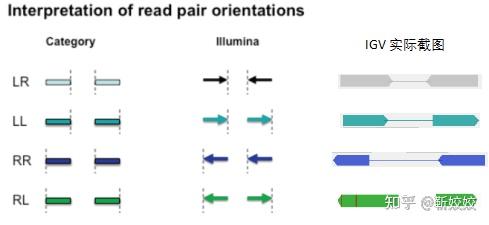 IGV快速上手指南（三）——查看突变信息 - 知乎