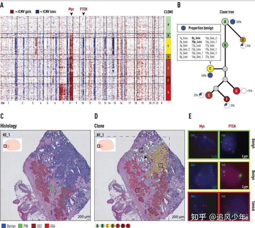 时空CNV分析导论 - 知乎