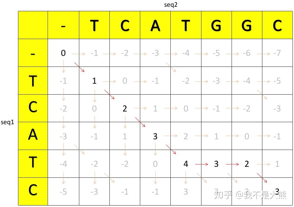 用Python从头实现Needleman-Wunsch序列比对算法 - 知乎