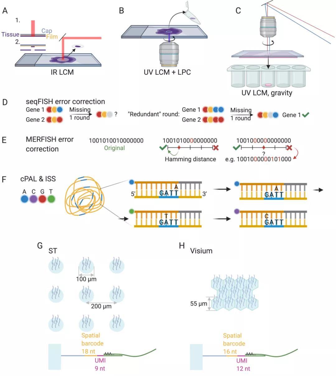 空间转录组技术知多少? - 知乎