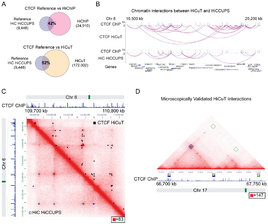 Hi-C 3.0融合CUT&Tag，表观新技术HiCUT上市！ - 知乎