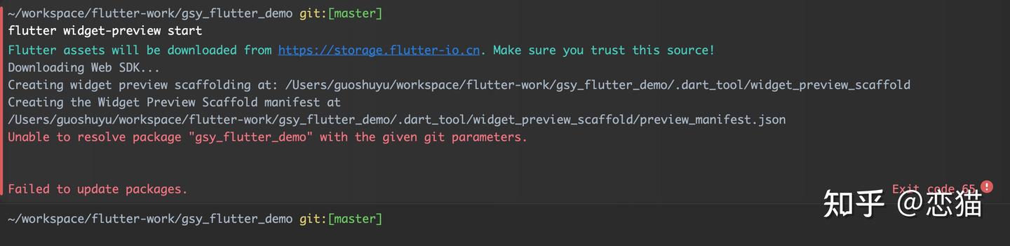 Flutter Widget Preview 功能已合并到 master，提前在体验毛坯的预览支持 - 知乎