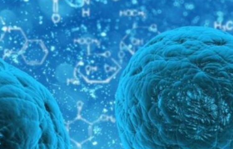 Nat Rev Cancer|肿瘤浸润性B细胞：免疫学机制、临床影响和治疗机遇 - 知乎