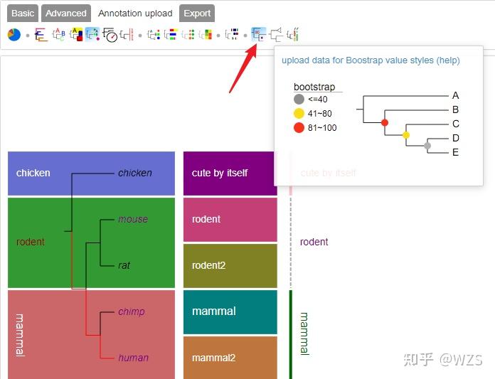 进化树美化——evolview基本命令速查与教程 - 知乎