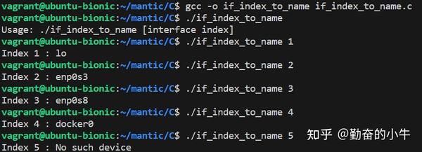 if_nametoindex 和 if_indextoname函数 - 知乎