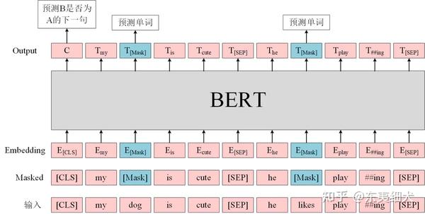 Bert 2017：预训练 + 微调的模式 - 知乎