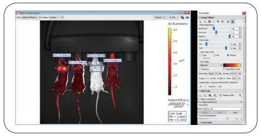 Revvity IVIS Lumina LT——让二维光学成像更加简便_化工仪器网
