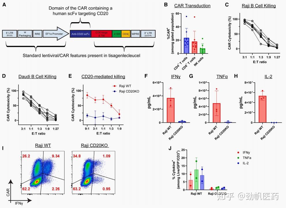 Interius公司最新数据揭示：慢病毒载体平台能助力CAR-T/NK细胞靶向递送，提高治疗可及性 - 知乎