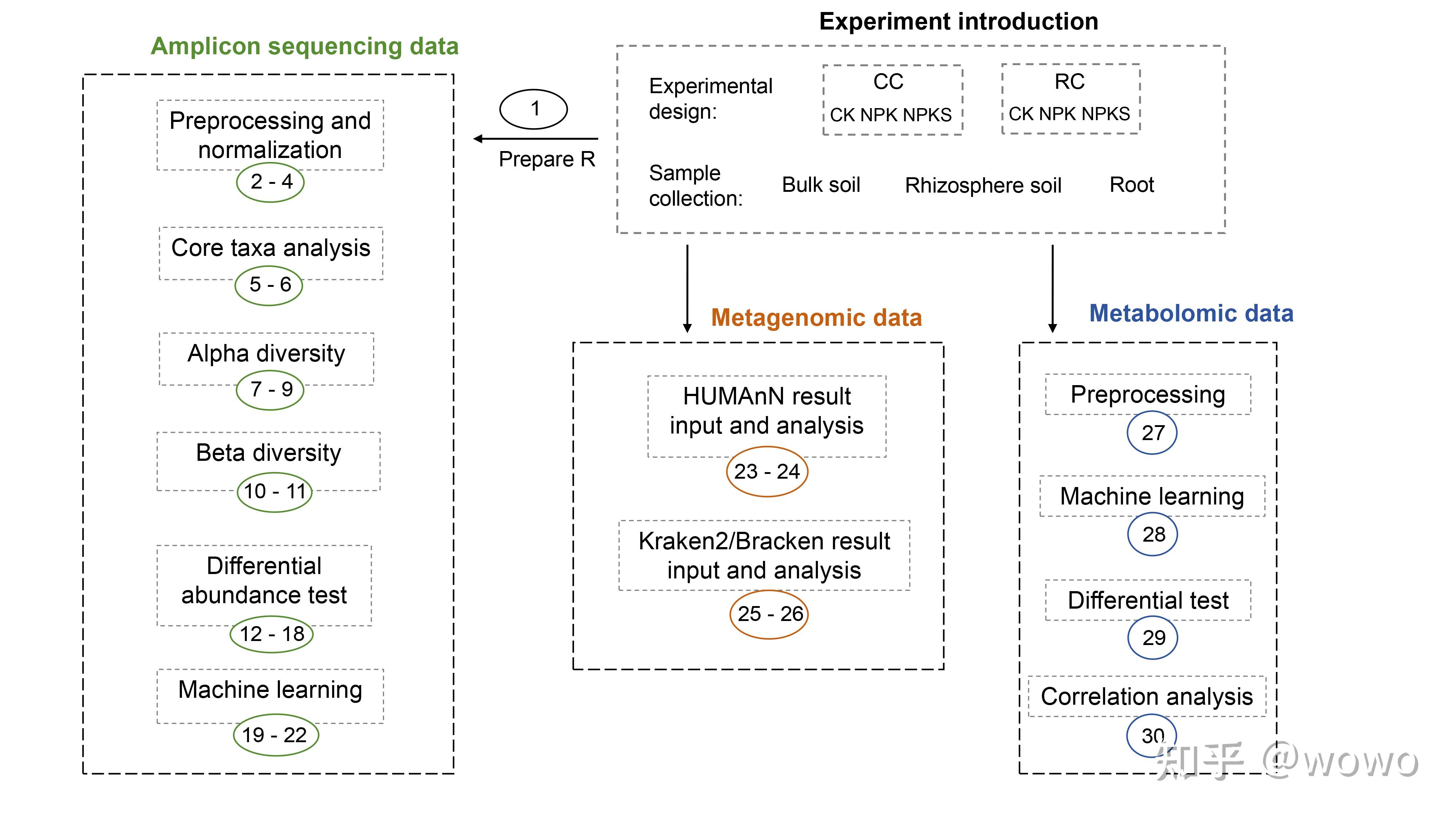 文献翻译: A workflow for statistical analysis and visualization of microbiome omics data (R microeco ...