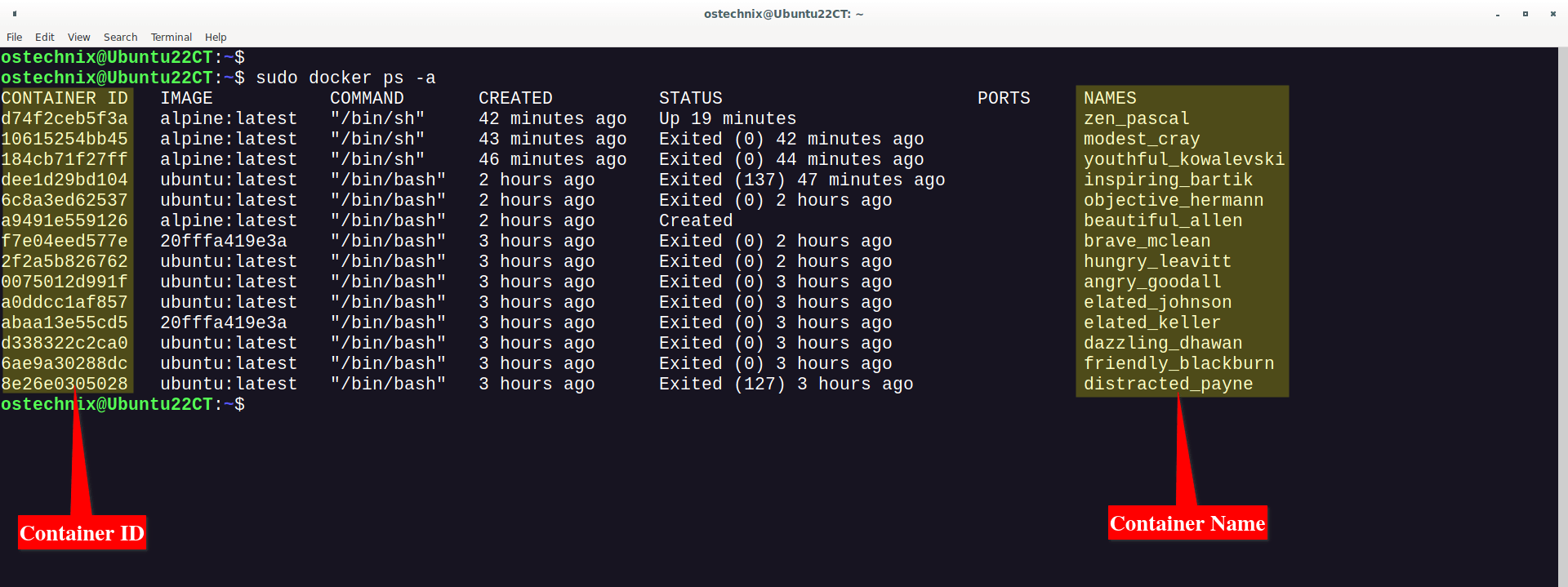 Linux 下的 Docker 入门教程 | Linux 中国 - 知乎