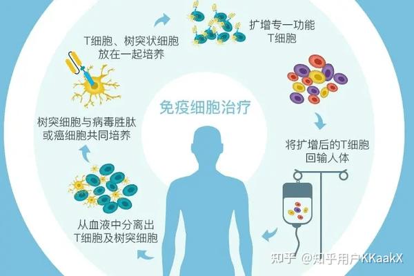 多项研究表明：CIK细胞治疗≥4次，疗效显著；治疗间隔不宜过长，以免影响CIK细胞扩增力 - 知乎