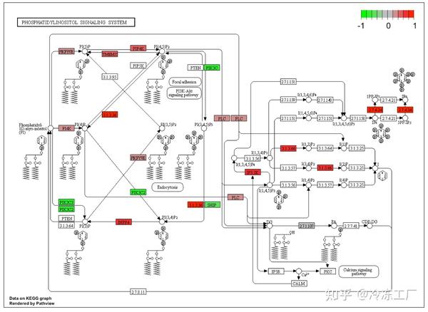 RNA-seq 保姆教程：差异表达分析（二） - 知乎