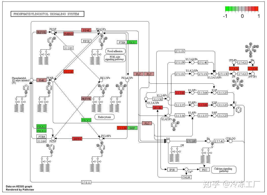 RNA-seq 保姆教程：差异表达分析（二） - 知乎