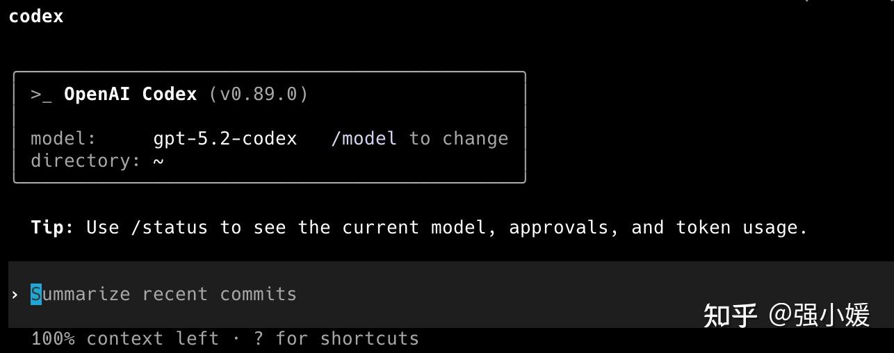 （2026年最新）Codex CLI 国内使用全攻略：终端+Cursor+VSCode+Opencode四种姿势全搞定 - 知乎