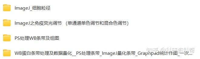 这份超详细的ImageJ教程，再也不怕SCI图片太low被拒稿了 - 知乎