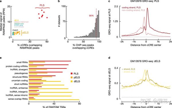 ENCODE项目第三期论文解读之一：扩增的人和小鼠基因组的DNA元件百科 - 知乎