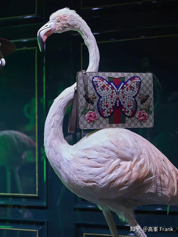 这些年，我们为之疯狂的Gucci——近距离了解Gucci的橱窗 - 知乎