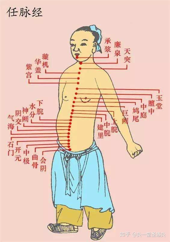 打通你的任督二脉”——任督二脉详解 知乎