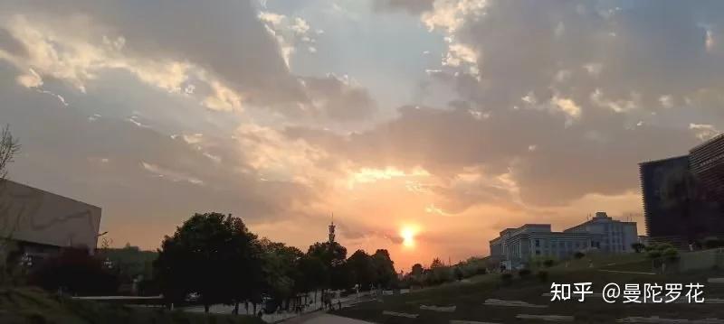 随记 知乎 2048
