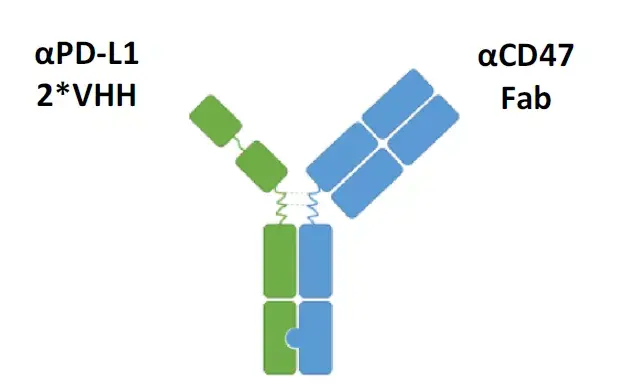 信达肿瘤选择性CD47/PD-L1双抗 - 知乎