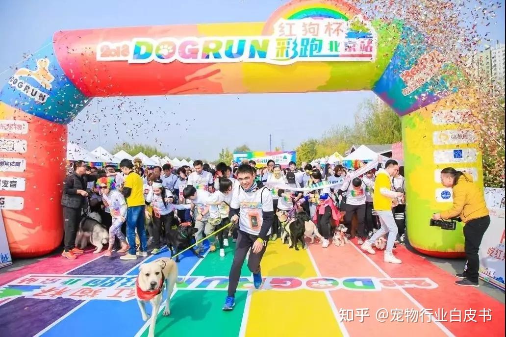 “红狗杯”DOGRUN大型人宠彩跑赛事2021继续开跑咯！首站杭州 - 知乎