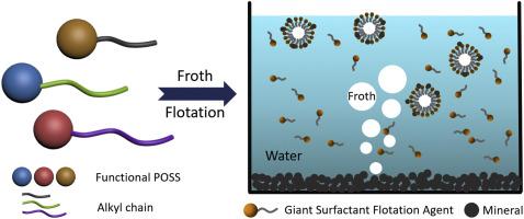 Polymer期刊”冯新德高分子奖“是什么？”最佳文章奖“得主傅强教授带你了解！ - 知乎