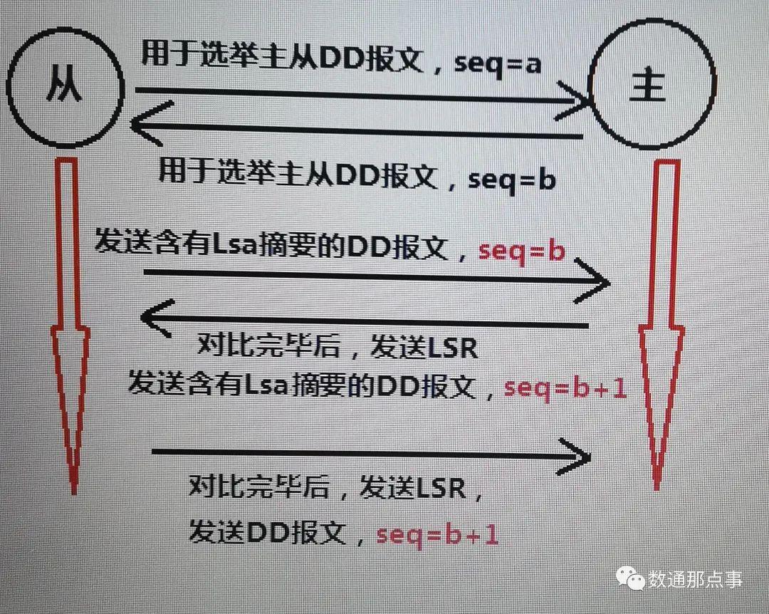 [Hcip]No.3 LSDB的同步原则、OSPF的确认机制 - 知乎