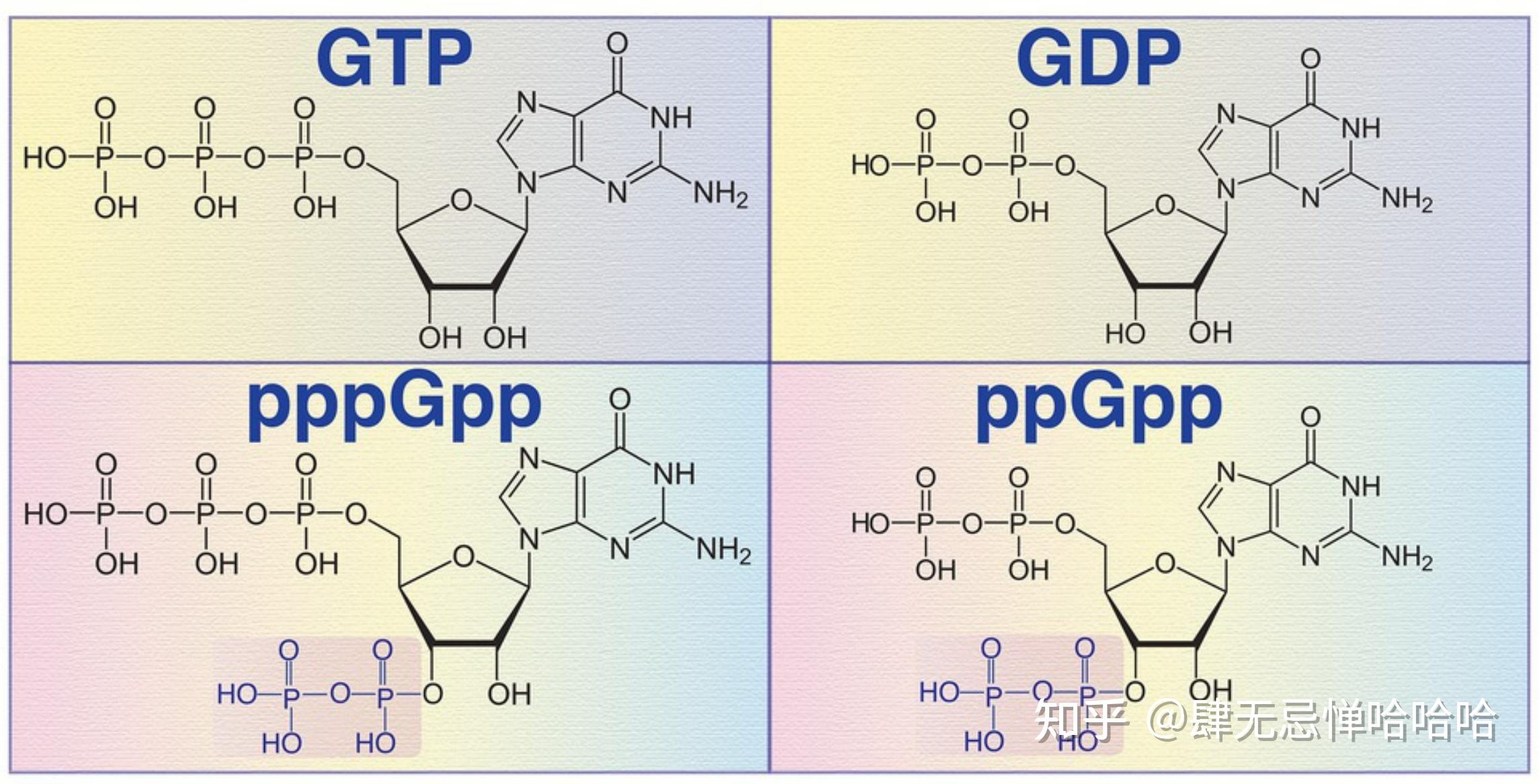 带你了解ppGpp - 知乎