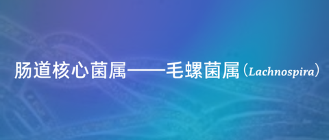 肠道核心菌——戴阿利斯特杆菌属 （Dialister） - 知乎