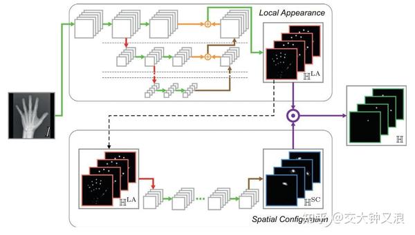 Coarse to Fine Vertebrae Localization and Segmentation with SpatialConfiguration-Net and U-Net - 知乎