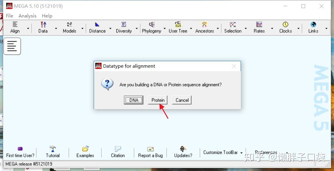MEGA5.1获取和构建系统发育树 - 知乎