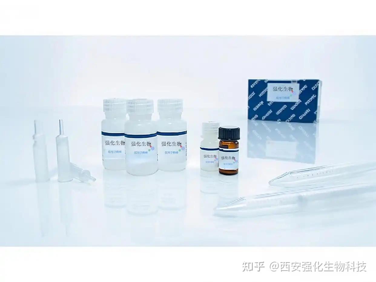 检测试剂RiboGreen RNA的使用流程，科研人必看！ - 知乎