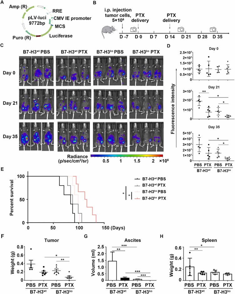 B7-H3或成卵巢癌免疫新靶点：增敏PD-L1或紫杉醇疗效 - 知乎