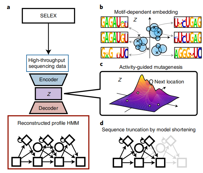 Nat. Com. Sci.｜使用RaptGen发现生成核酸适配体 - 知乎