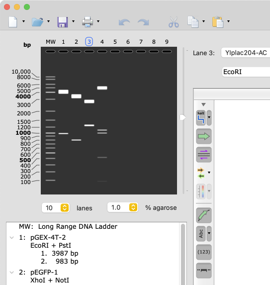 SnapGene重磅更新 — SnapGene V6.0来啦！ - 知乎