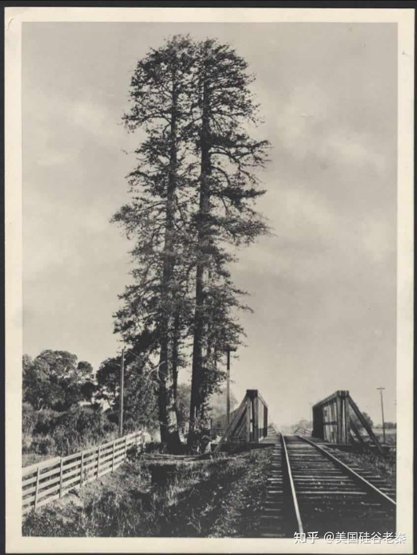 美国加州硅谷Palo Alto 城市介绍 - 知乎