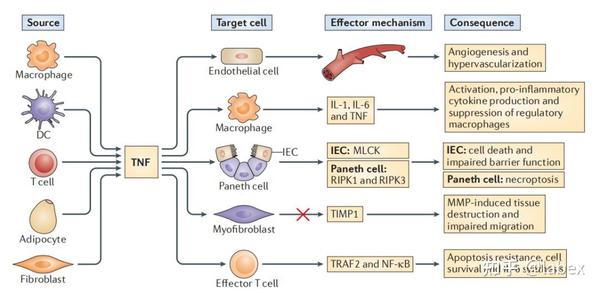CBA（高通量液相蛋白定量技术）在IBD炎症性肠病中的应用 - 知乎