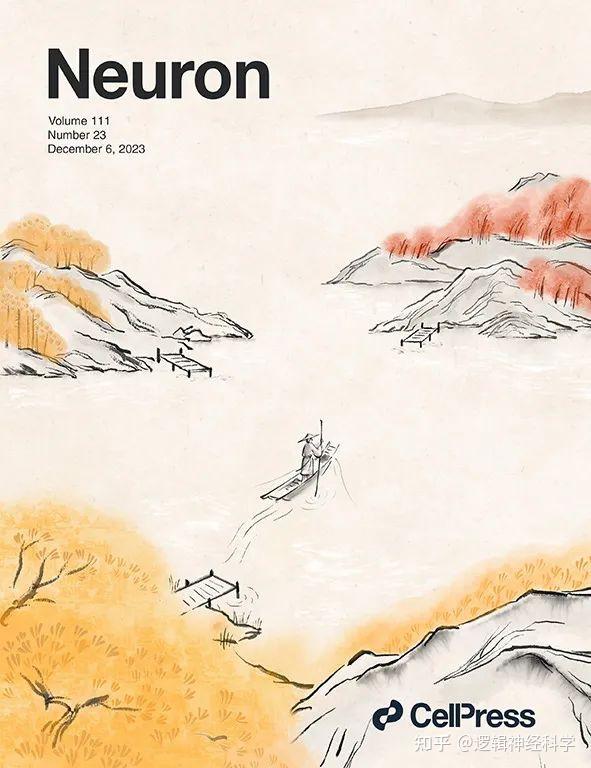Neuron︱收藏！2023年期刊封面文章汇总 - 知乎
