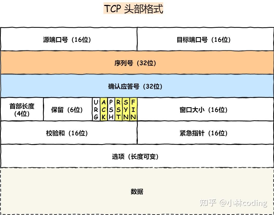 TCP 序列号和确认号是如何变化的？ - 知乎