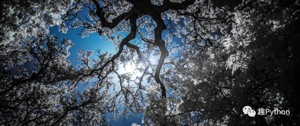 python与分形0000 - 分形世界 - 知乎