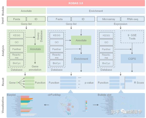 使用KOBAS-i进行功能富集分析 - 知乎