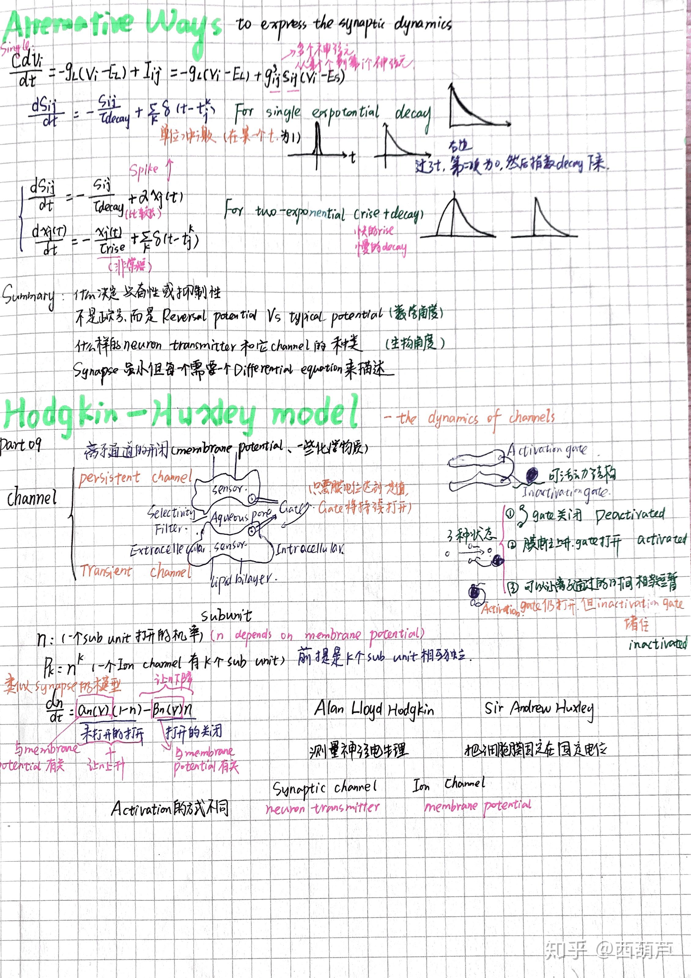 Hodgkin-Huxley Model - 知乎