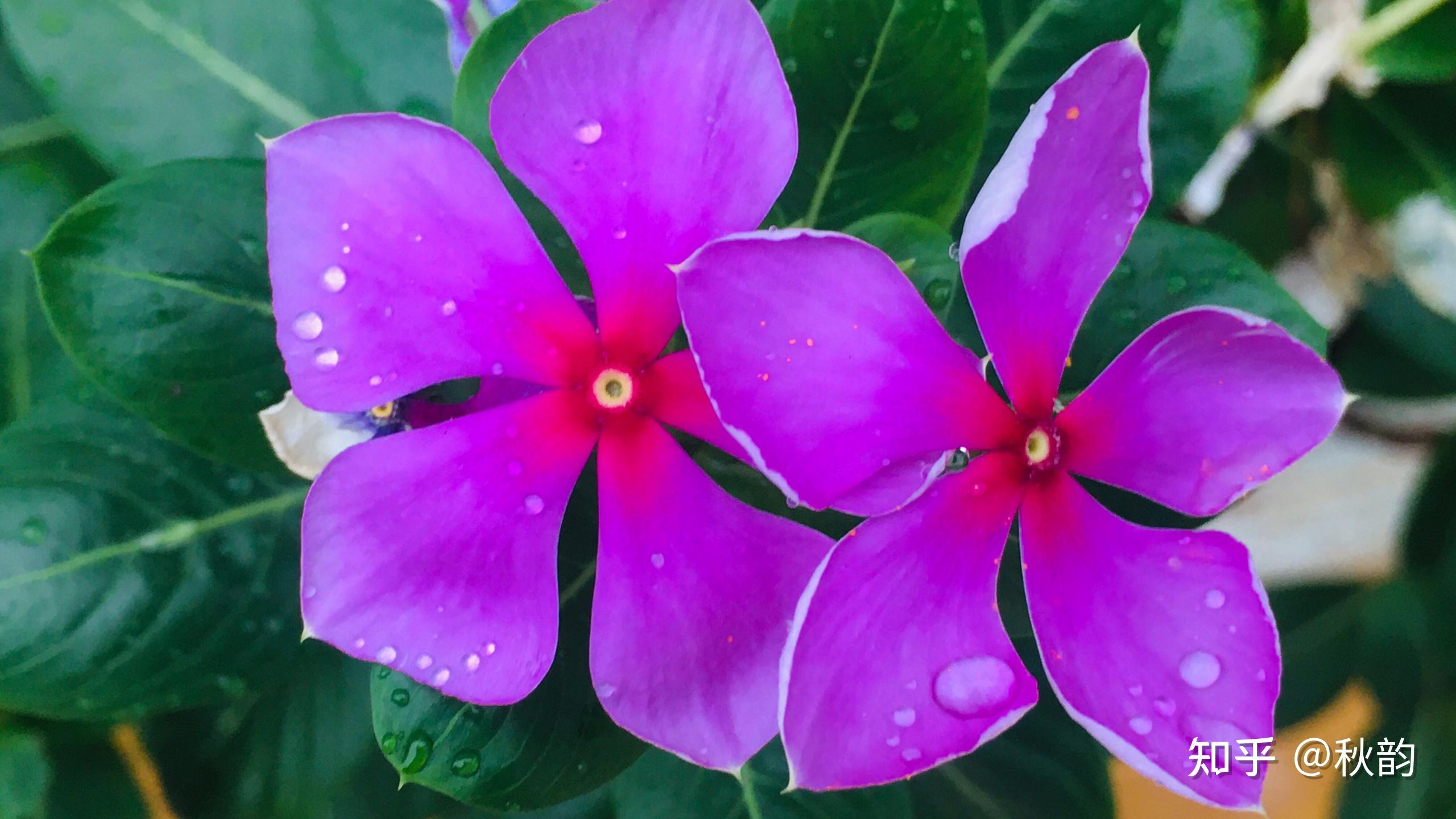 “A as well as B”结构的常用用法总结 - 知乎