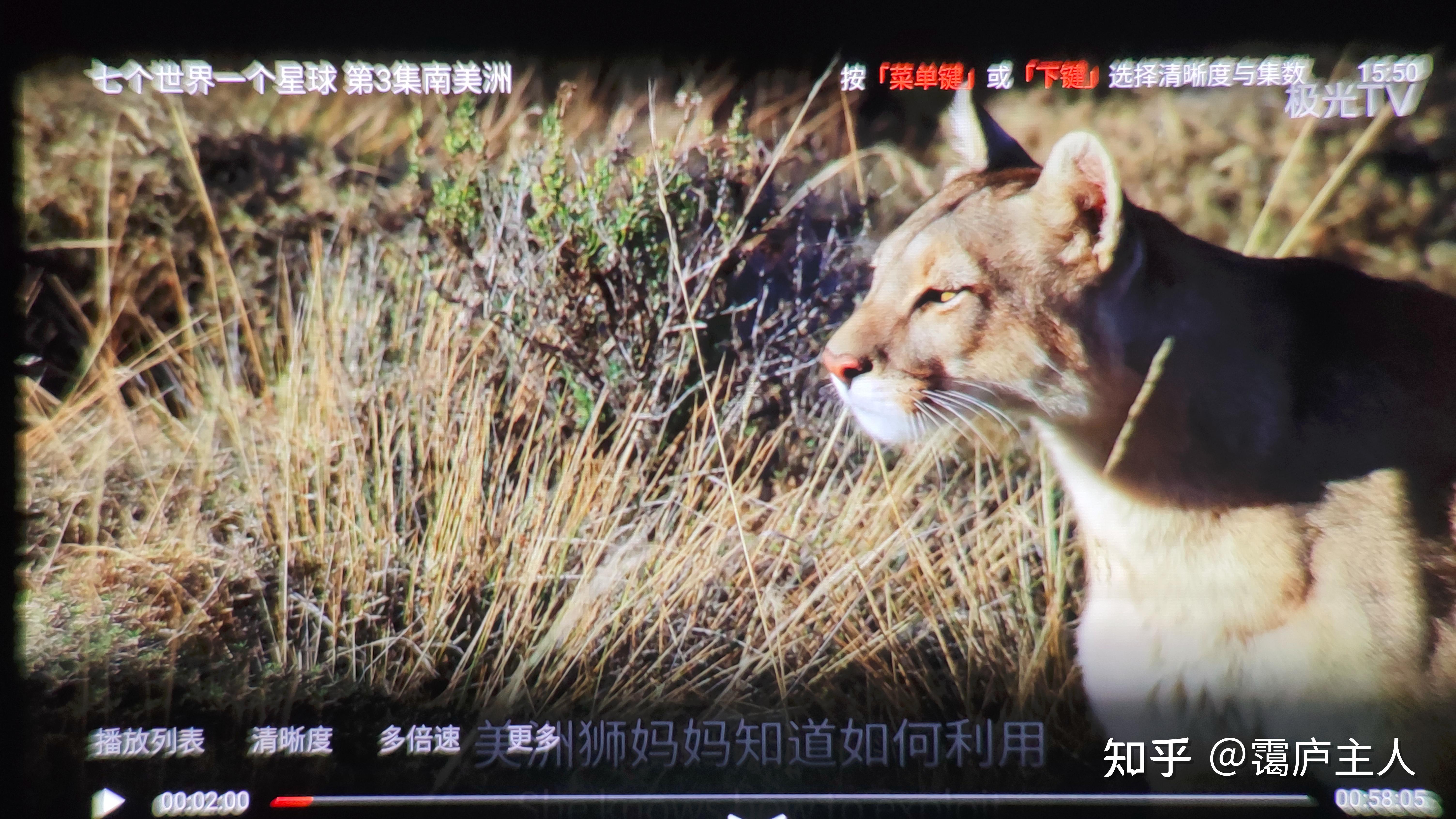 观影神器Goovis G3 MAX真实体验报告 - 知乎