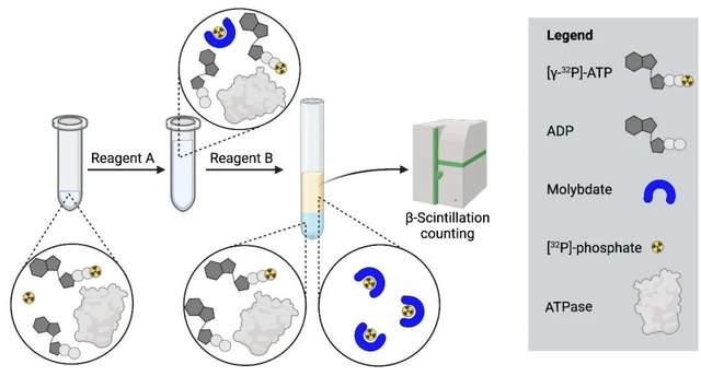 Bio-protocol | 2023年5月20日最新上线实验方案目录 - 知乎