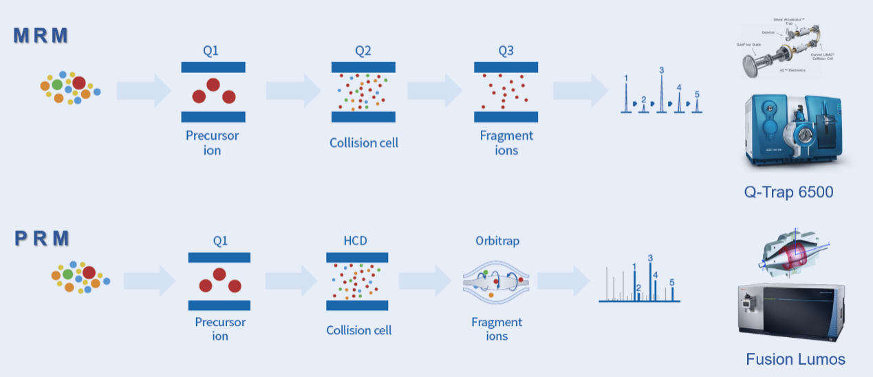 MRM/PRM靶向定量蛋白质组学 - 知乎