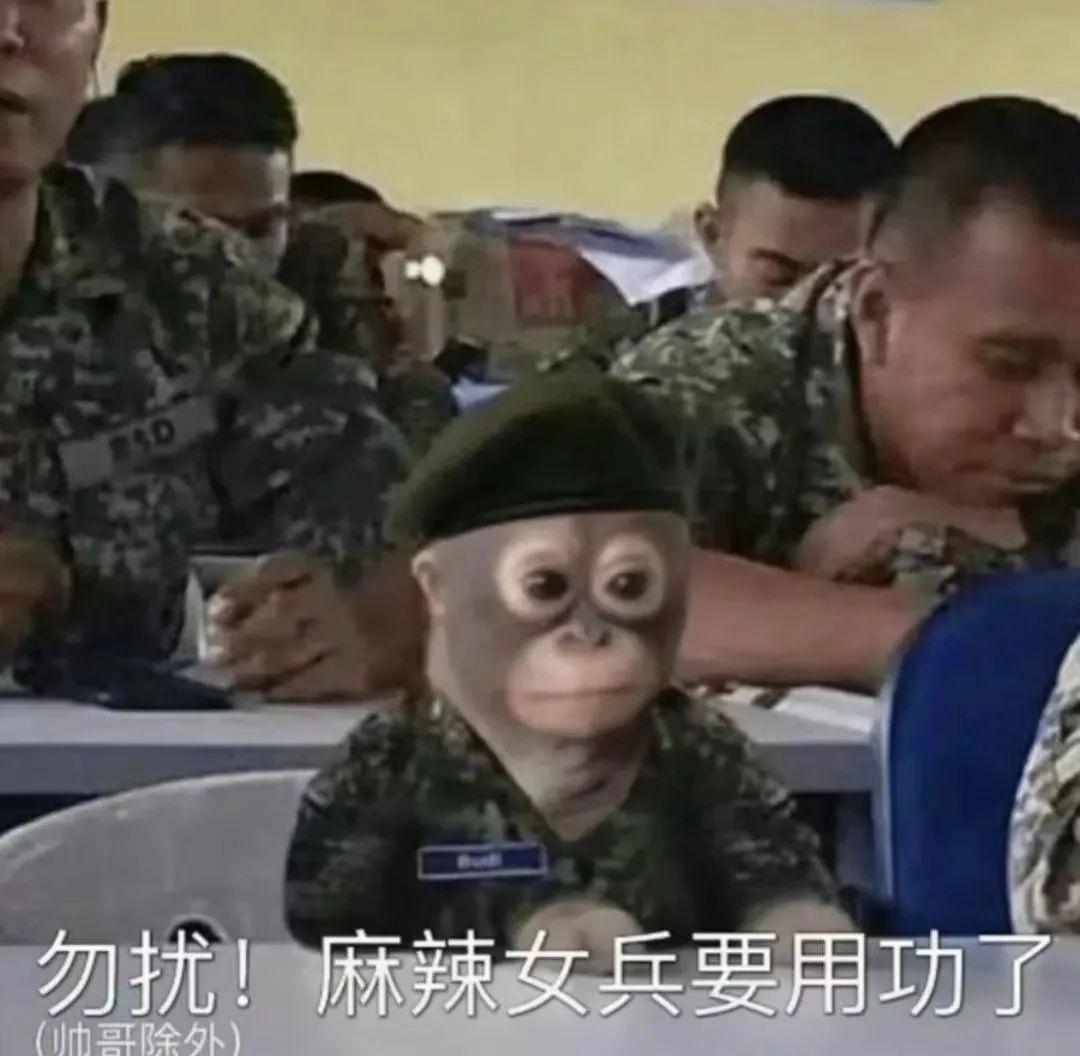 发疯发癫的表情包 - 知乎