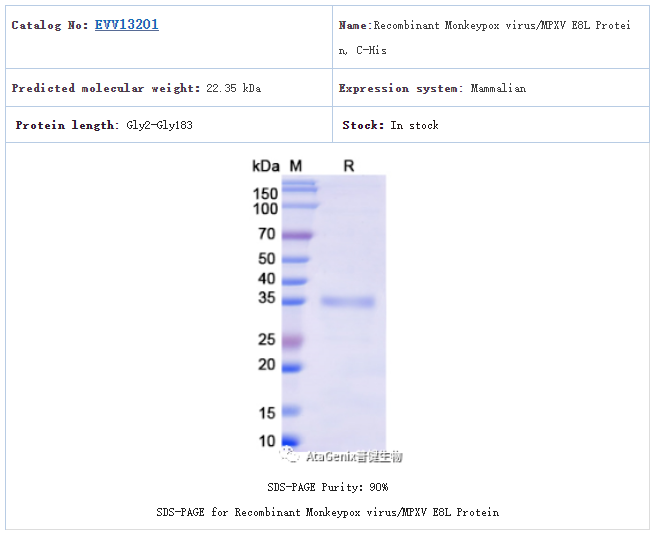 猴痘病毒(Monkeypox virus，MPXV)核心蛋白与抗体解析 - 知乎