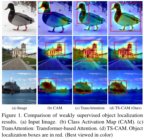 【论文阅读】《TS-CAM: Token Semantic Coupled Attention Map for Weakly Supervised Object Localization》 - 知乎